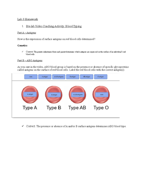 Lab 5 Anatomy of the blood vessels - Lab 5 – Anatomy of Blood Vessels 1 ...