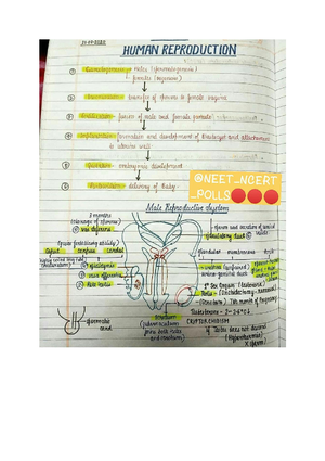 Tumor Immunology - notes - Tumor Immunology o Introduction Tumors ...