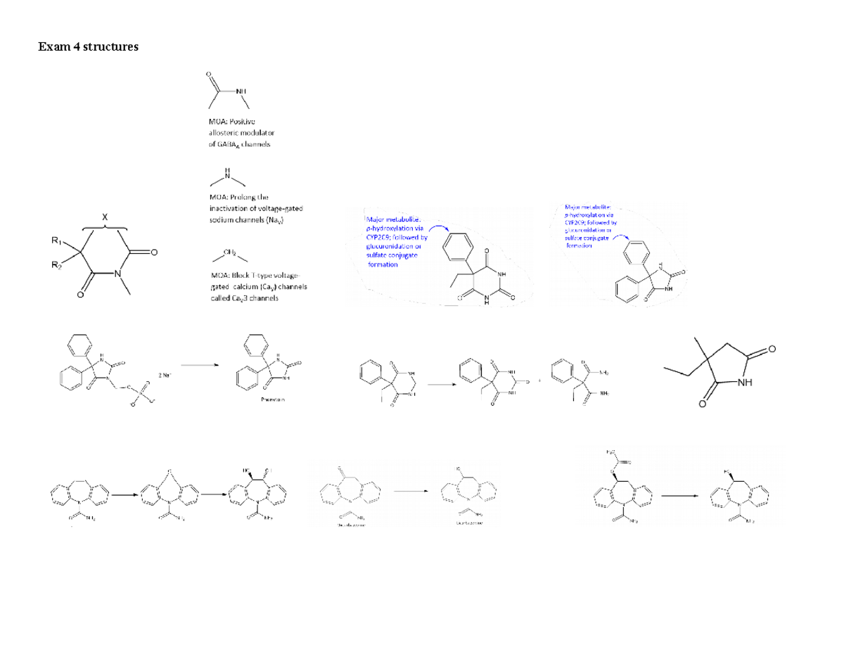 Exam 4 structures (002) - RX 412 - Exam 4 structures - Studocu