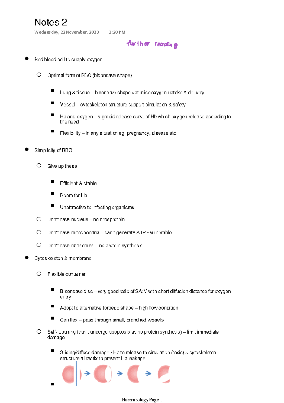 Notes 2 - Red blood cell to supply oxygen Optimal form of RBC ...