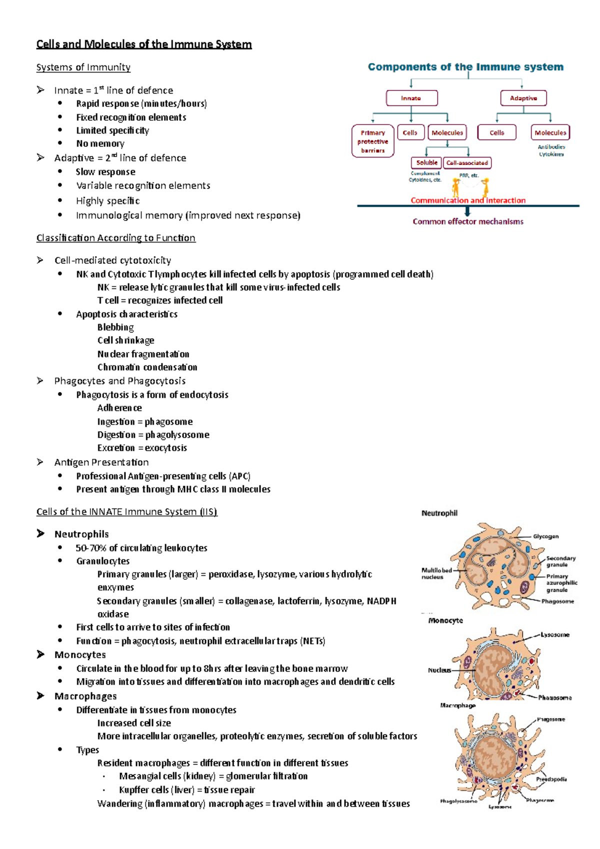 L15 - Cells and Molecules of the Immune System - Cells and Molecules of ...