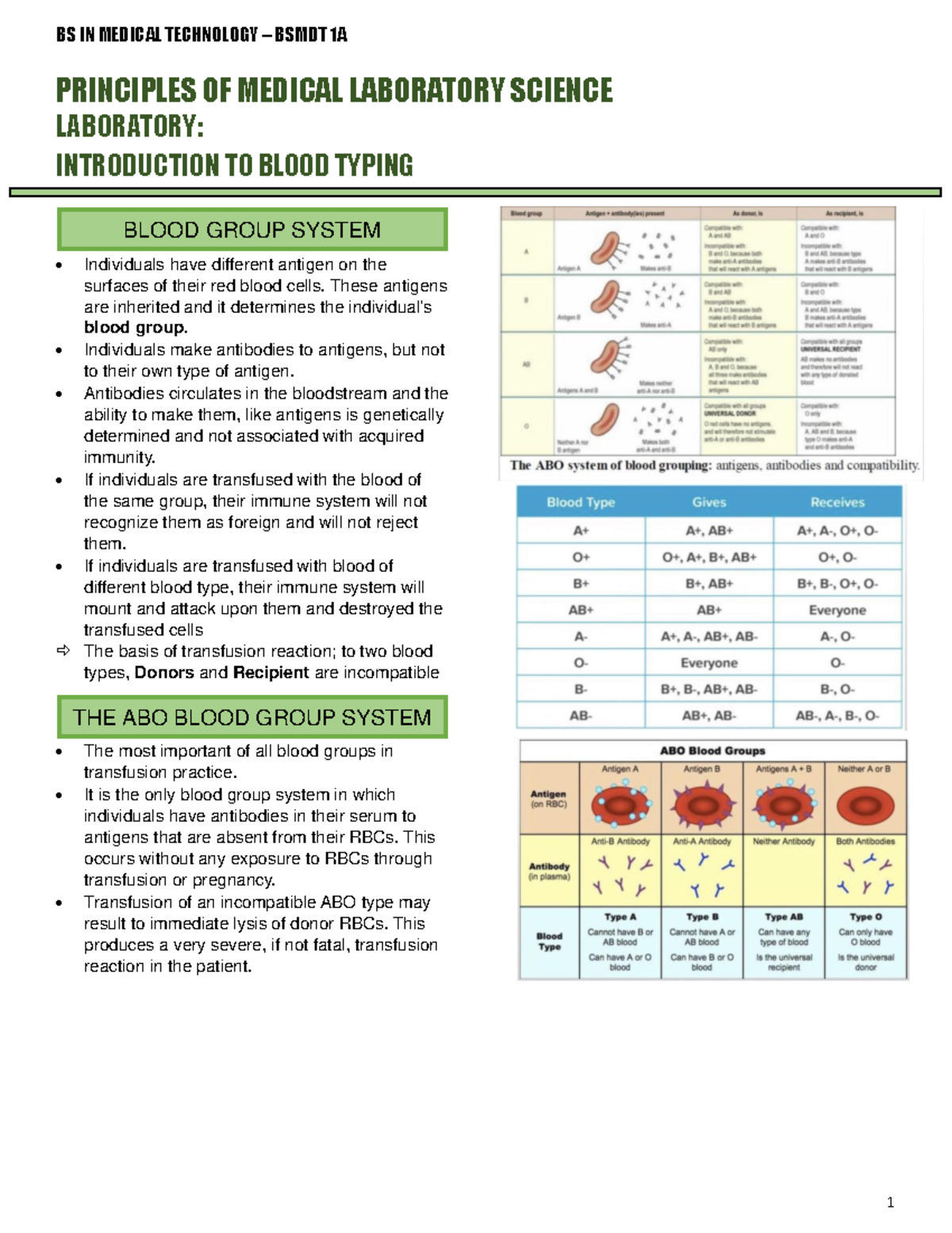 PMLS Introduction TO Blood Typing - PRINCIPLES OF MEDICAL LABORATORY ...