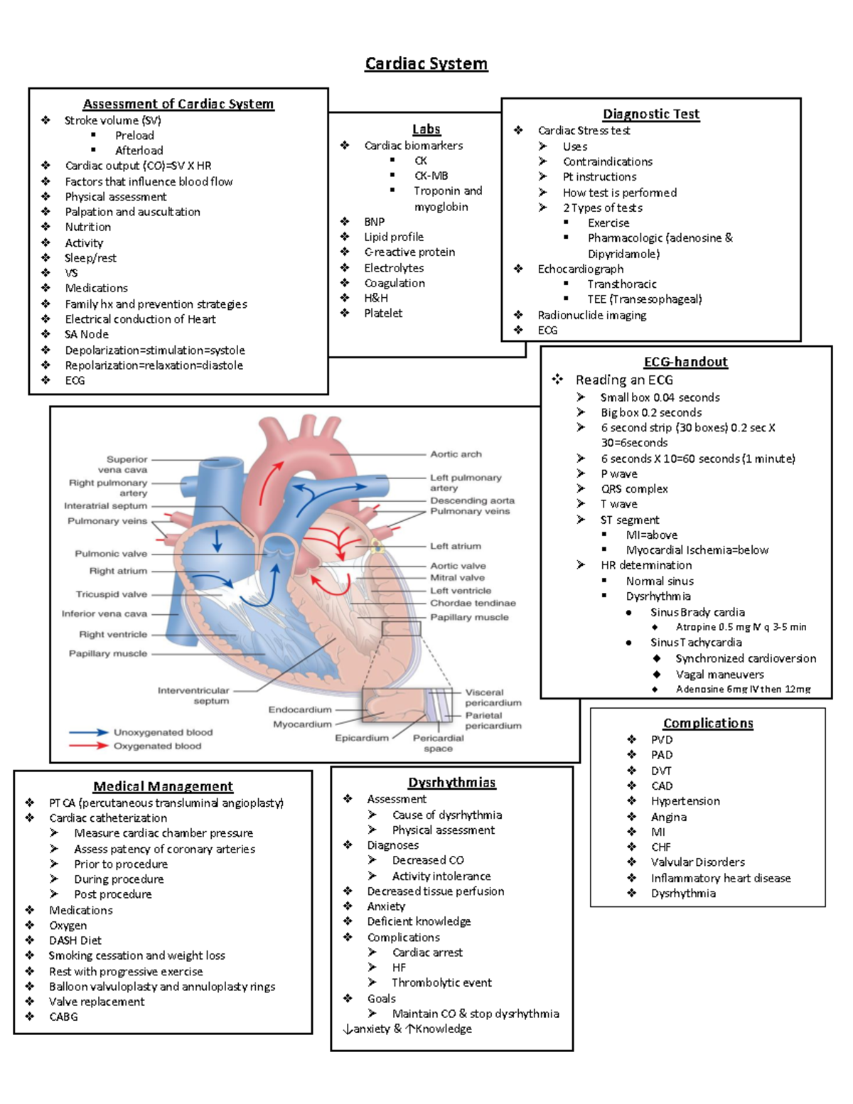 Entire Cardiac System Warning Tt Undefined Function 32 Warning Tt Undefined Function 32 