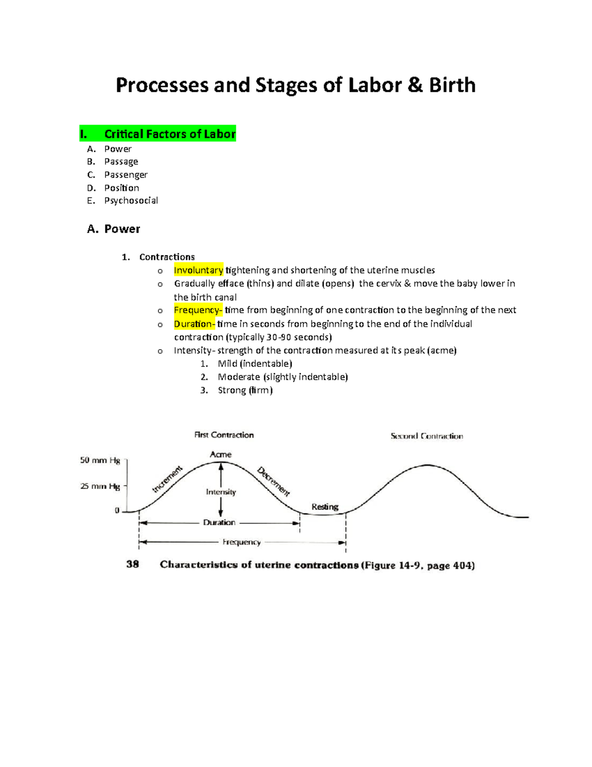 Ch19 Processes and Stages of Labor - Processes and Stages of Labor ...