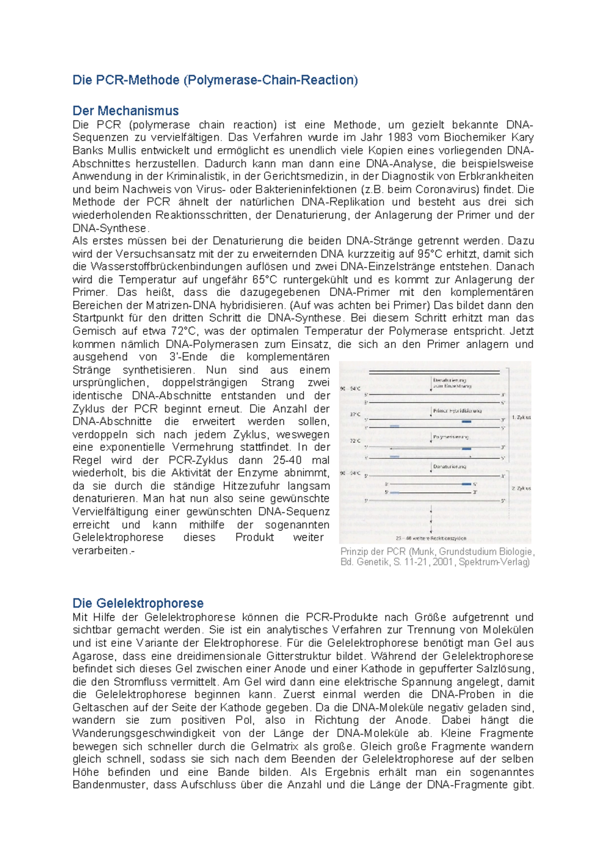 Verständnis Polymerase Chain reaction (PCR)-Methode - Die PCR-Methode ...