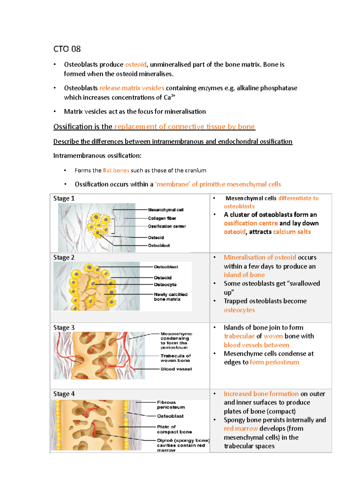 CTO 08 Ossification and Joints - CTO 08 Osteoblasts produce osteoid ...