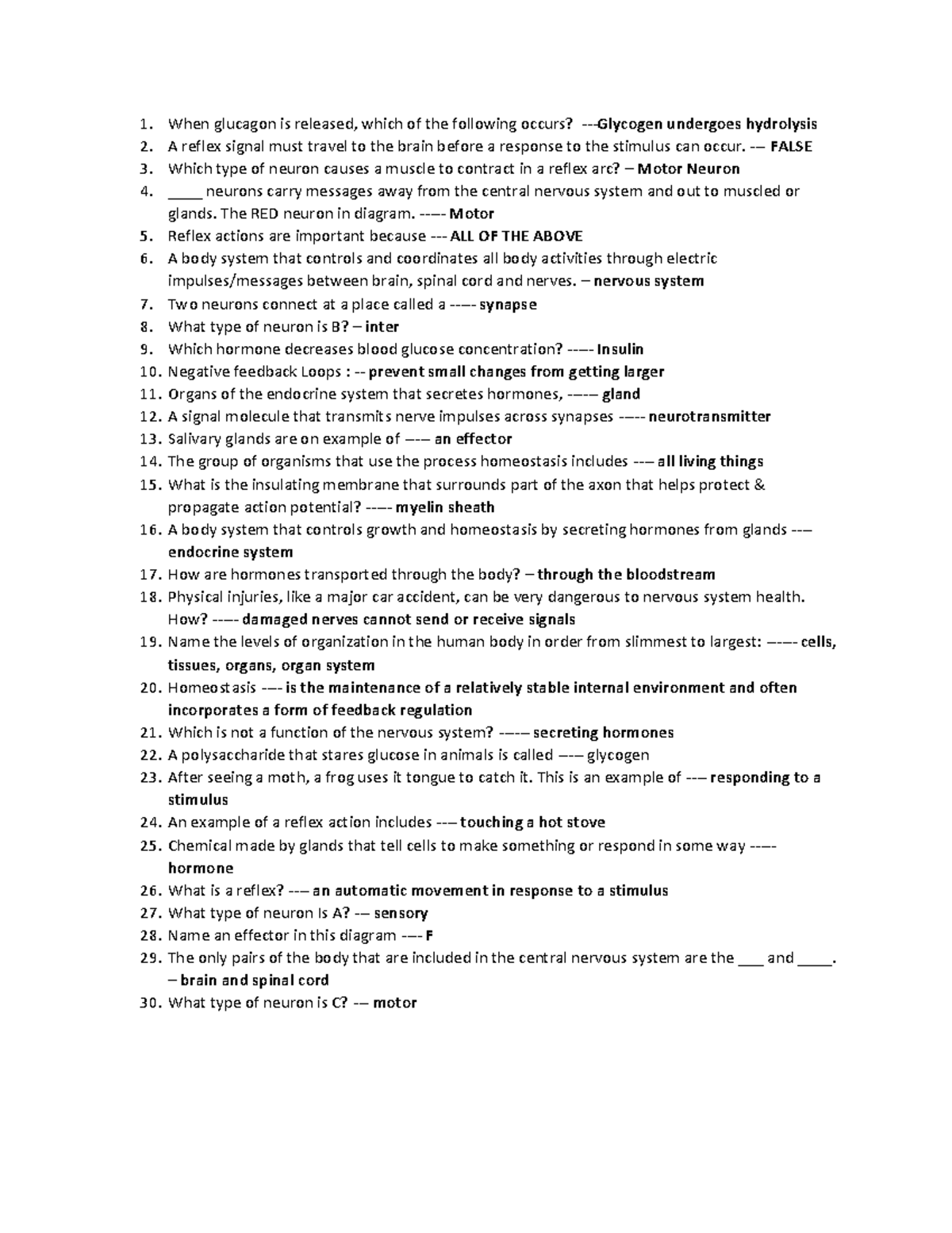 When glucagon is released - FALSE Which type of neuron causes a muscle ...