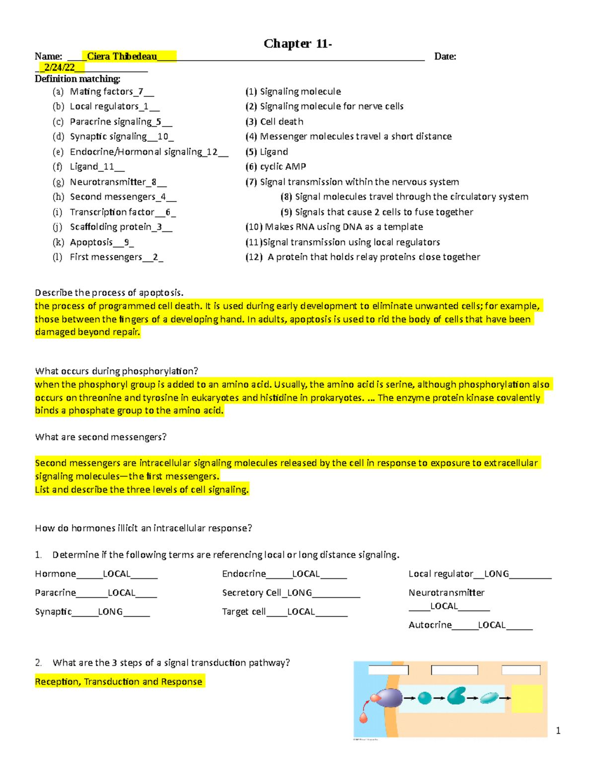 WEEK 8-HW- Chapter 11 ( Homework for week 8) - Chapter 11- Name: Ciera ...