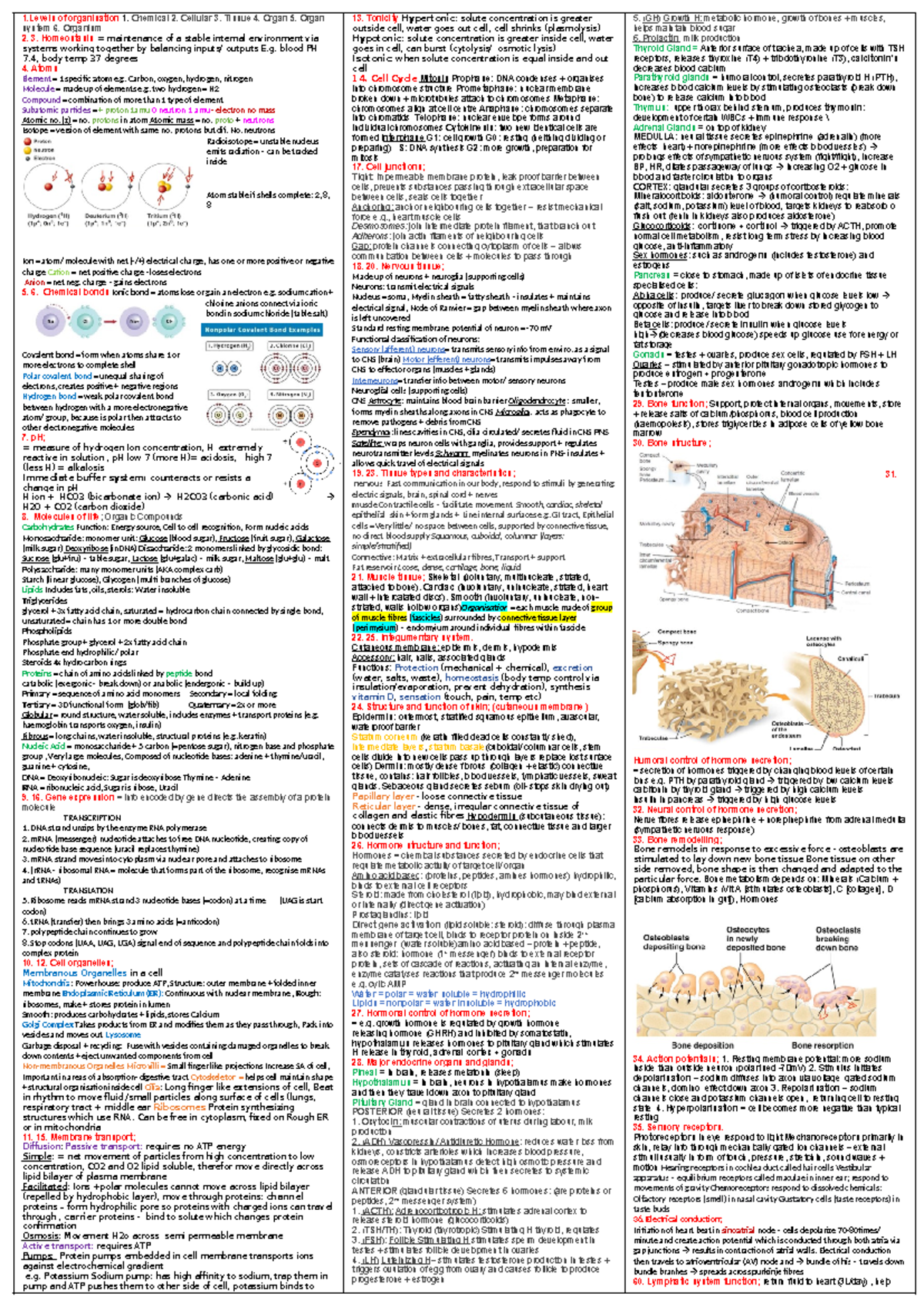 Final Exam Cheat Sheet - 1 of organisation 1. Chemical 2. Cellular 3 ...