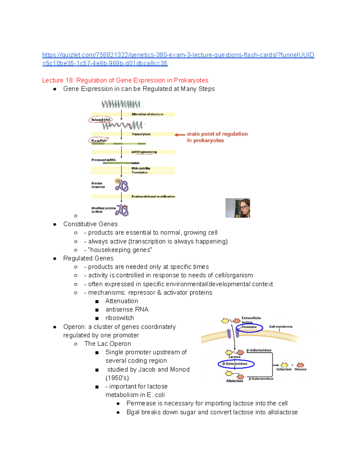 Genetics Exam 2 overview - - Studocu