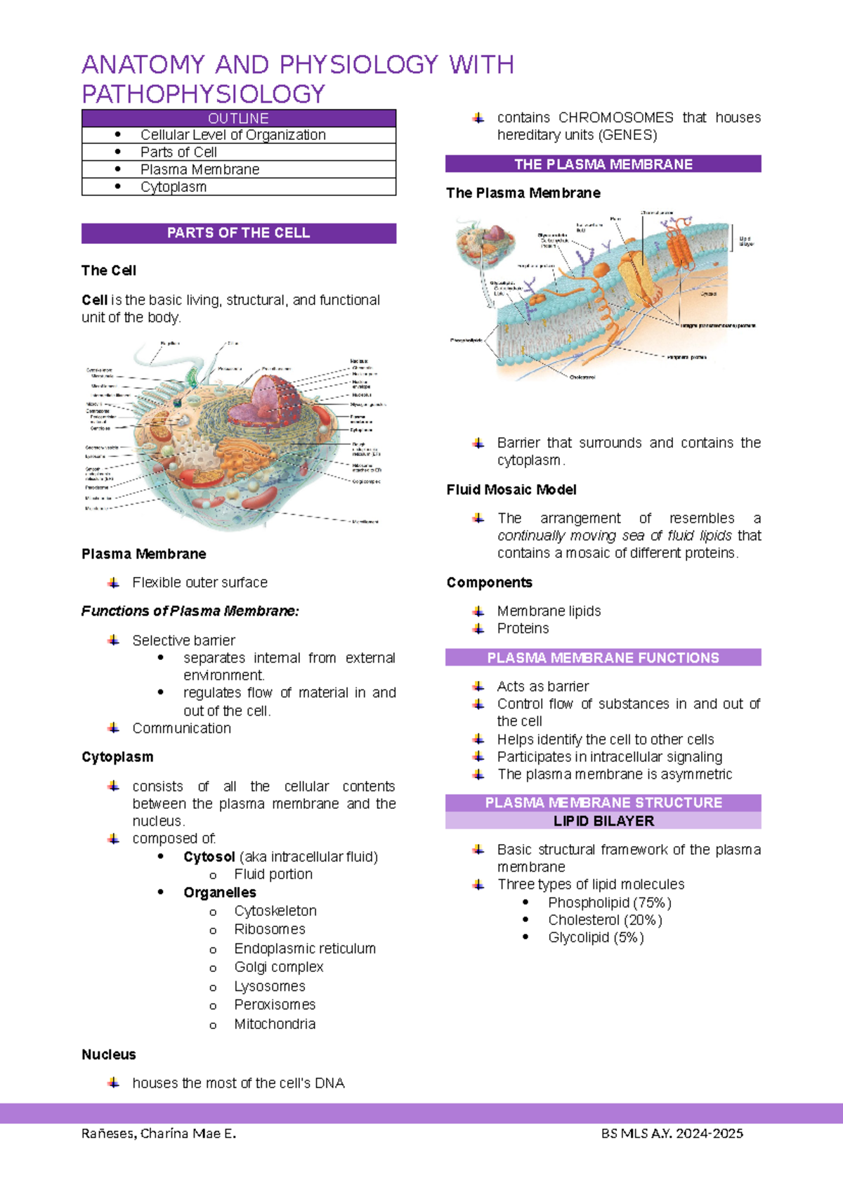 Cells structure and functions - PATHOPHYSIOLOGY OUTLINE Cellular Level ...
