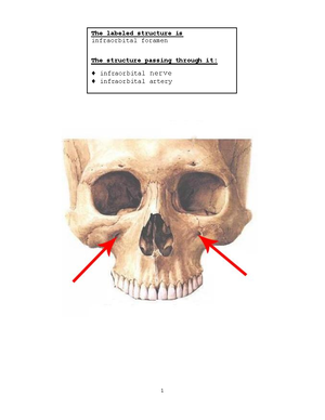 Anatomy SQA [RES] - Anatomy SAQ 308 Thoracic cavity: 1- Enumerate the ...