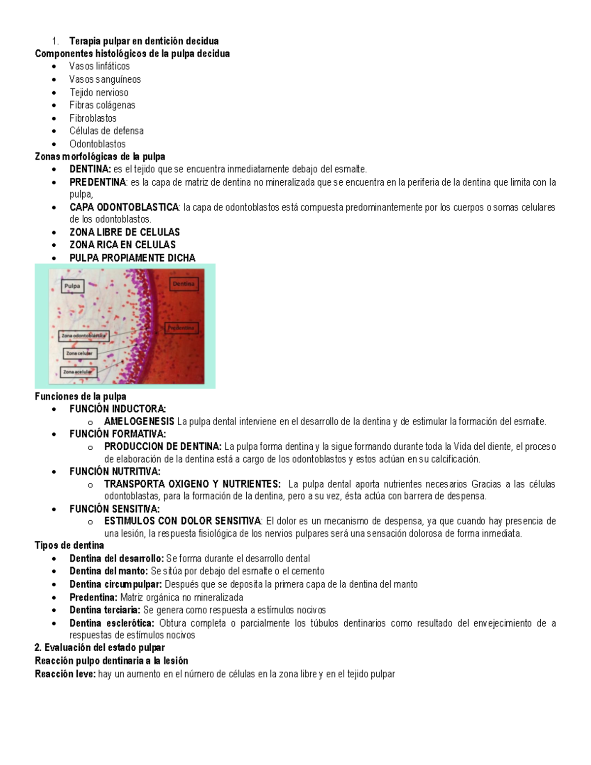 Terapia Pulpar - Terapia pulpar en dentición decidua Componentes ...