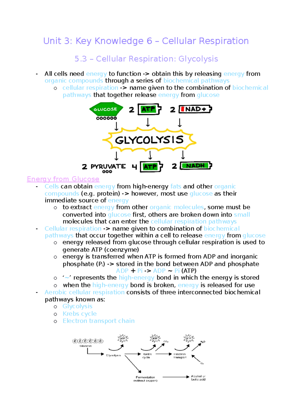 KK6 - Cellular Respiration - Unit 3: Key Knowledge 6 – Cellular ...