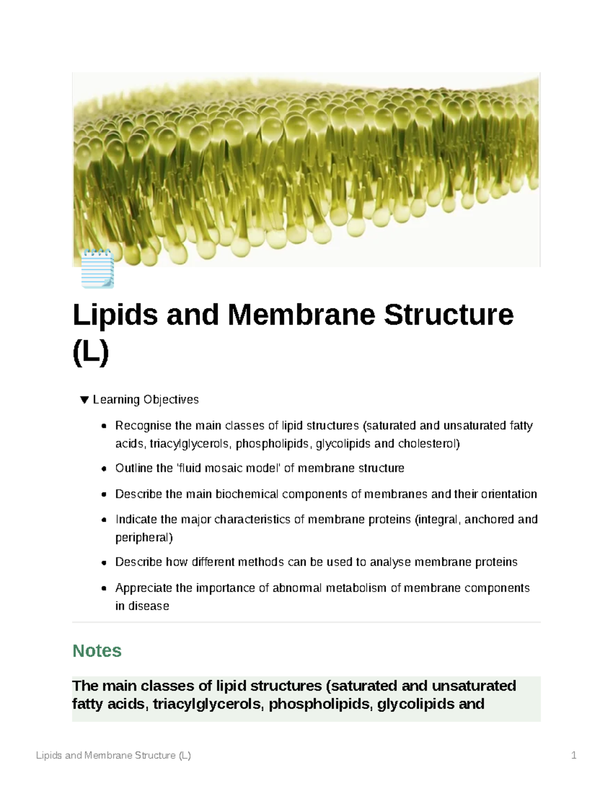 Lipids and Membrane Structure - f Lipids and Membrane Structure (L ...