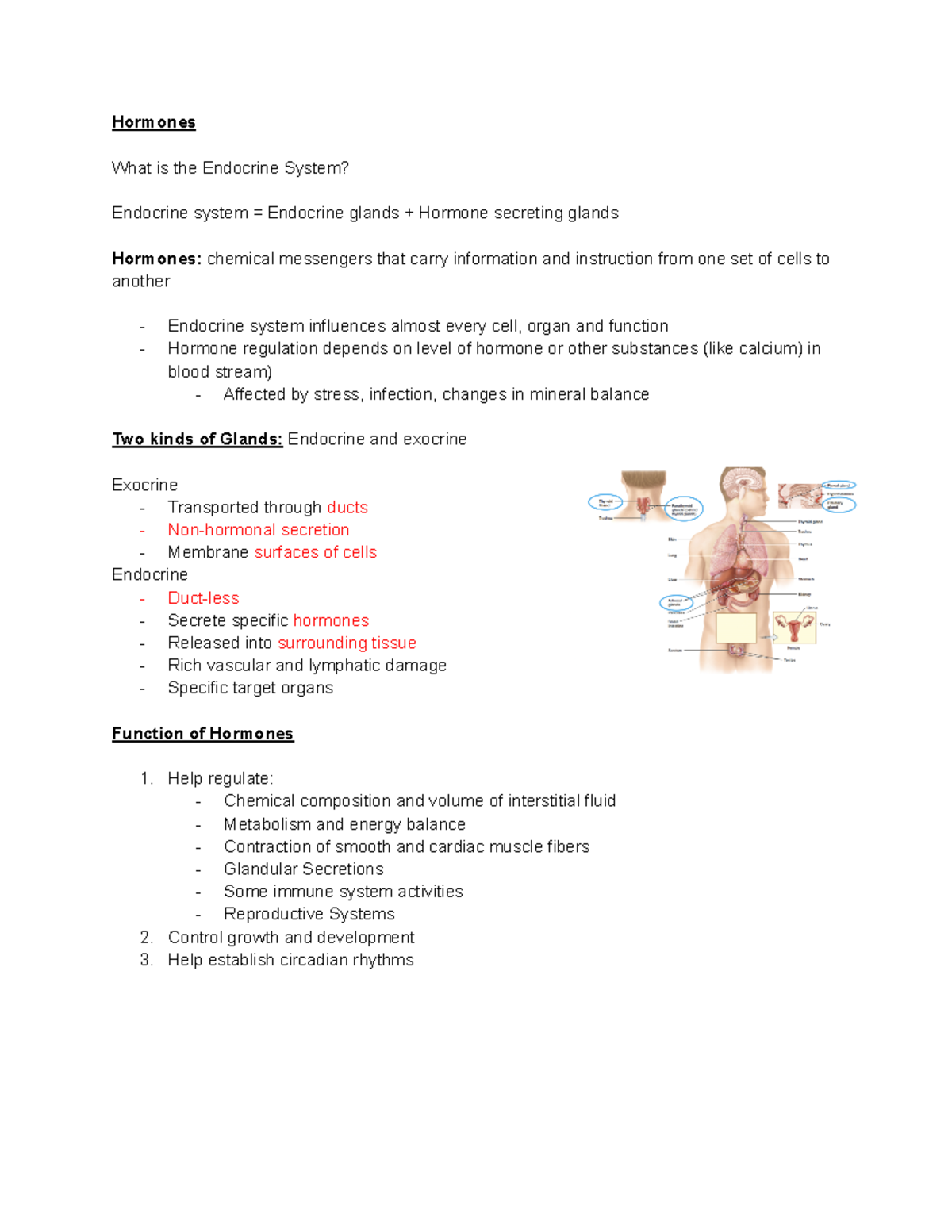 Hormones - class notes - Hormones What is the Endocrine System ...