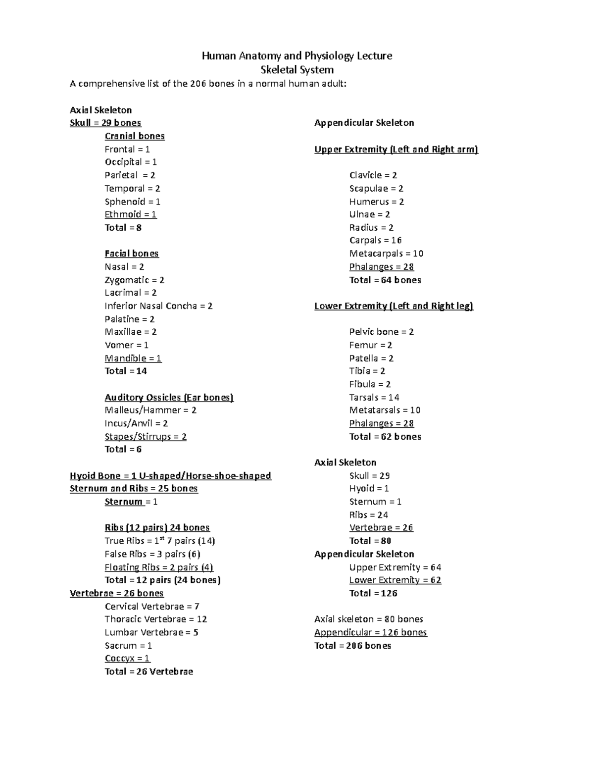 Skeletal System 206 bones comprehensive list - Human Anatomy and ...