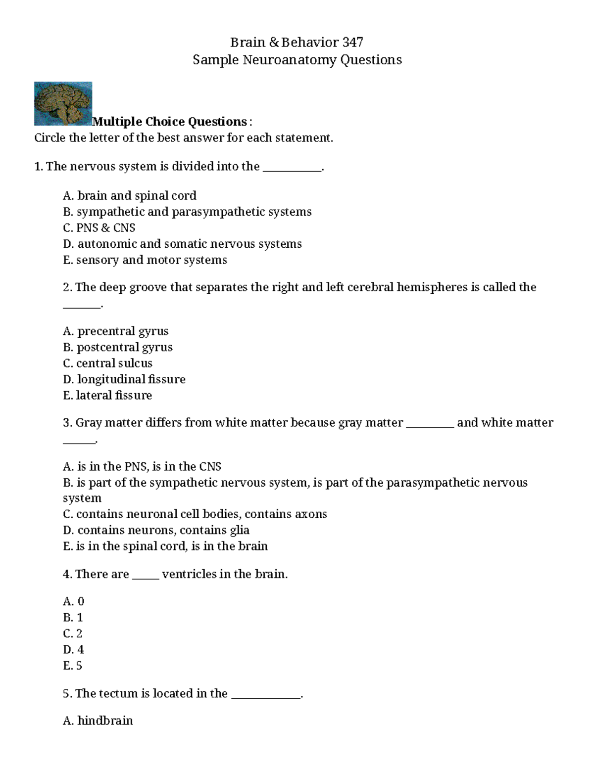 4 5814605924521740615 - Brain & Behavior 347 Sample Neuroanatomy ...