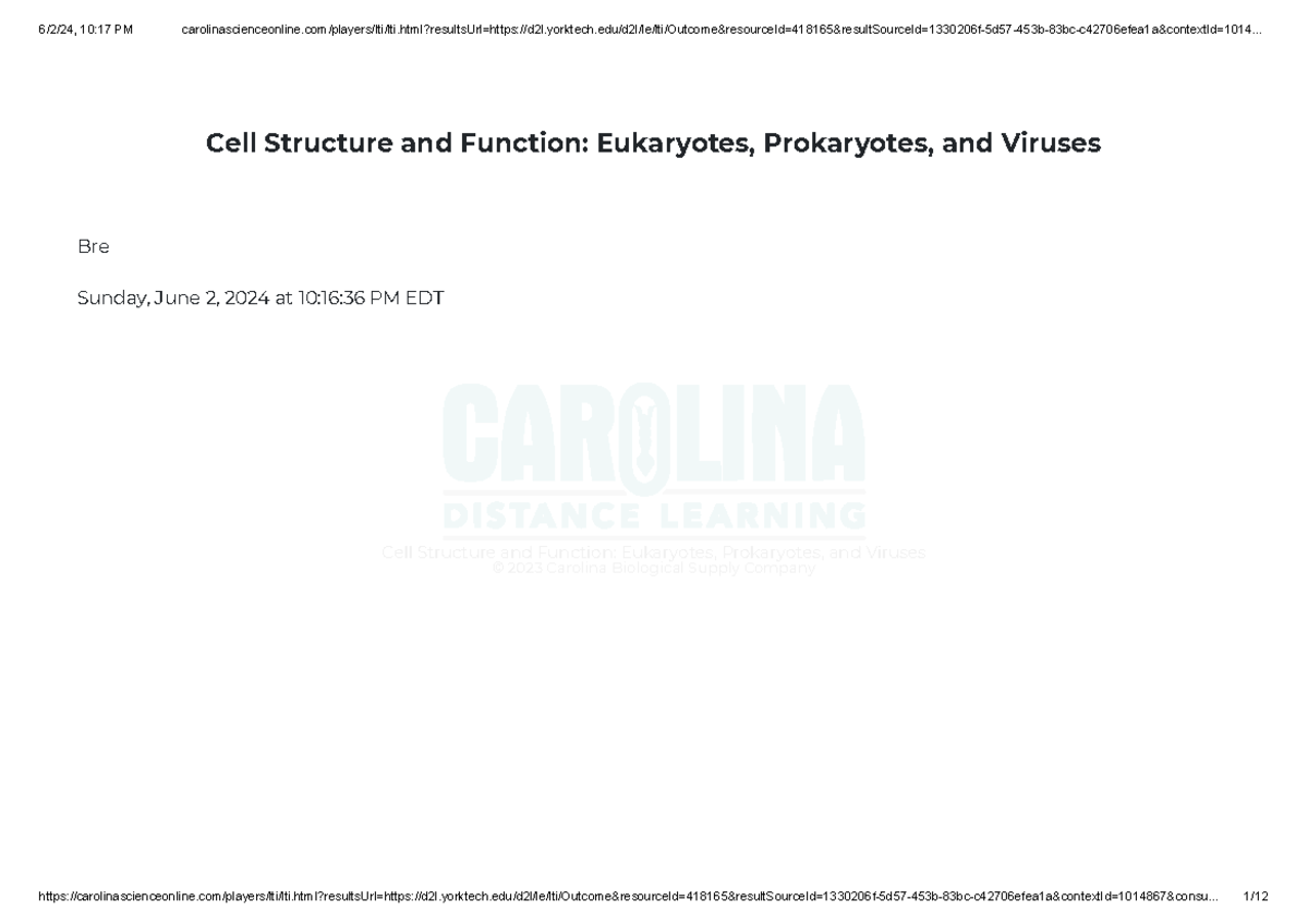 Lab 4 - Cell Structure and Function: Eukaryotes, Prokaryotes, and ...