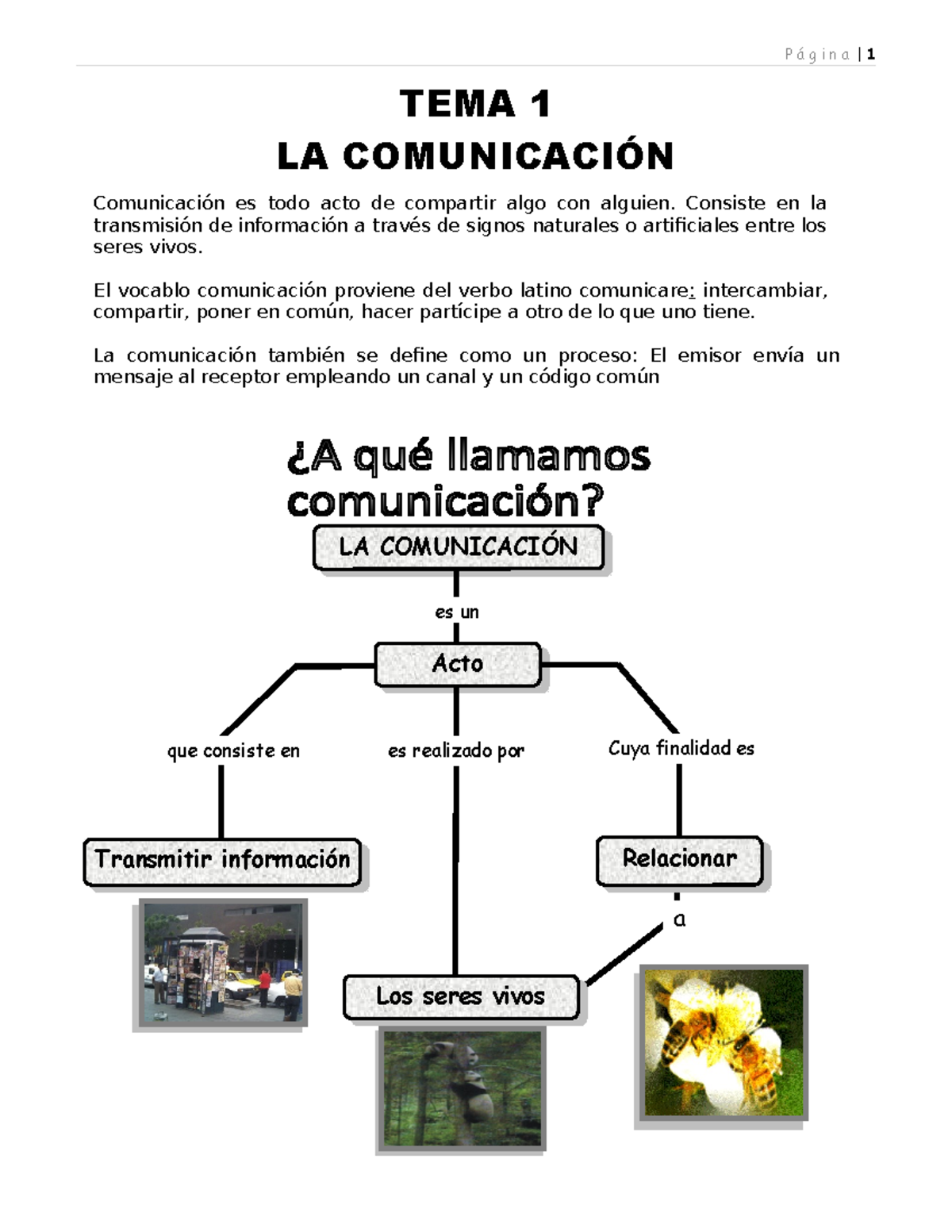 Comunicación Tercero Básico 2022 - TEMA 1 LA COMUNICACIÓN Comunicación ...