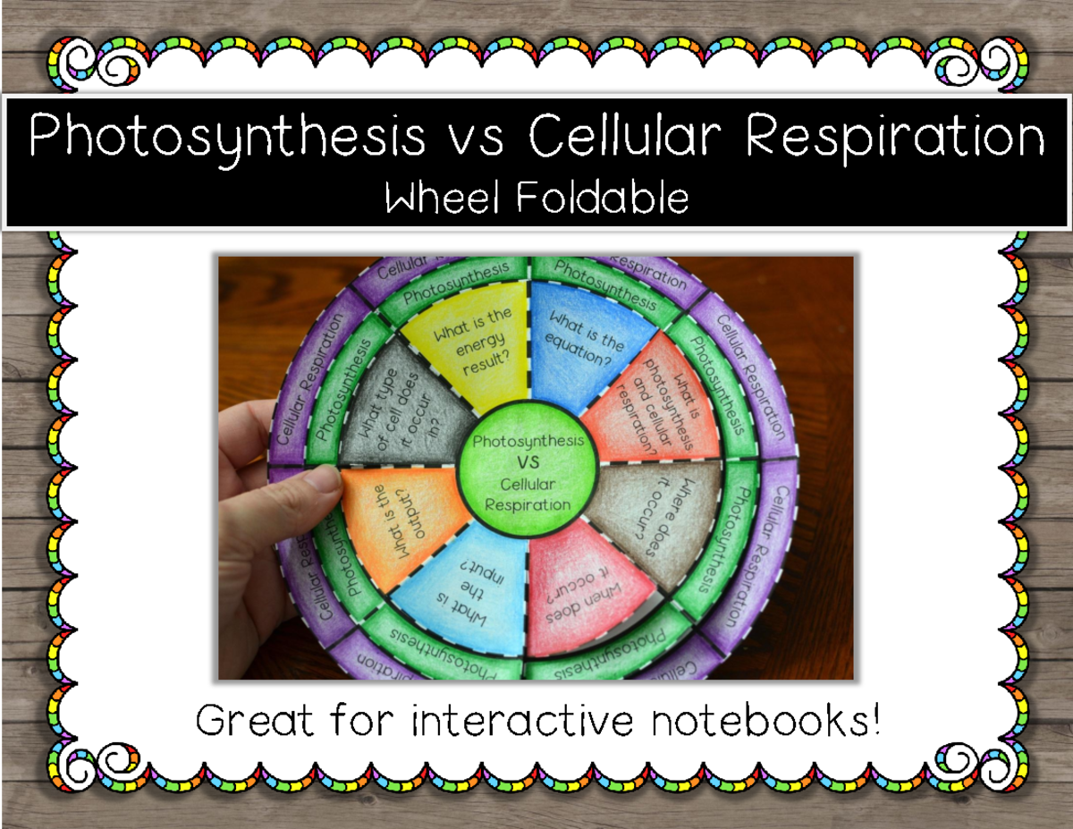 Photosynthesisvs Cellular Respiration Foldable - Photosynthesis vs ...