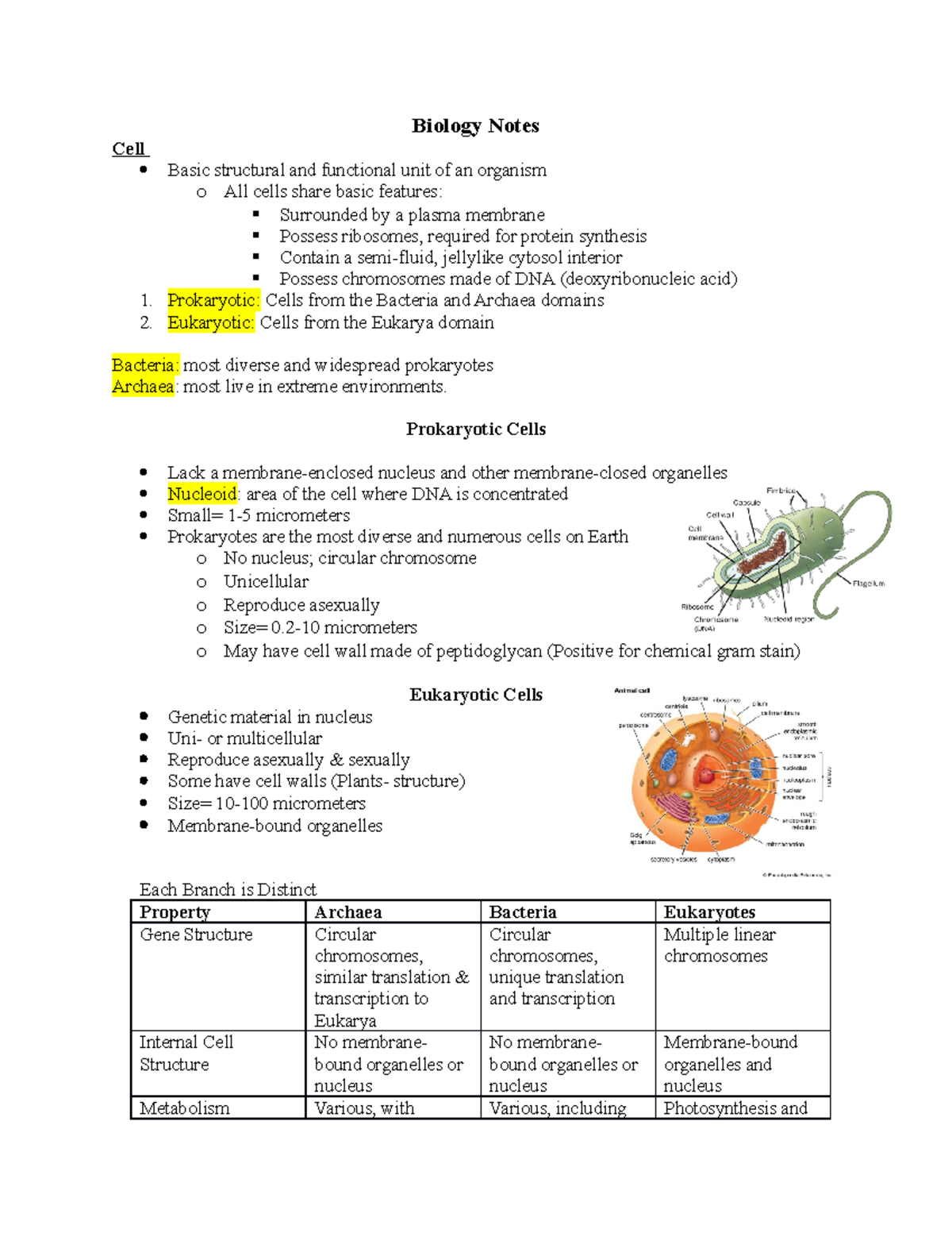 Biology Lecture Notes - dvedw - Biology Notes Cell Basic structural and ...