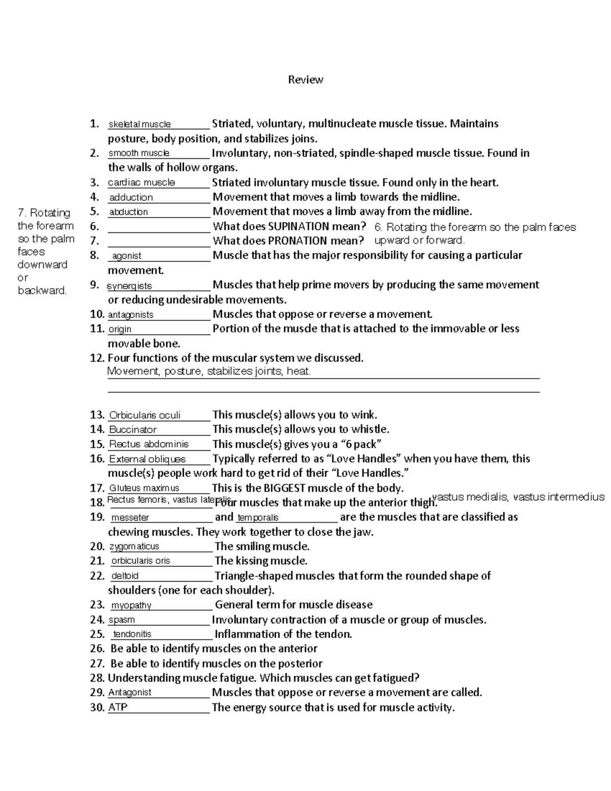 Review - akhdbcikuwC - Review _________________ Striated, voluntary ...