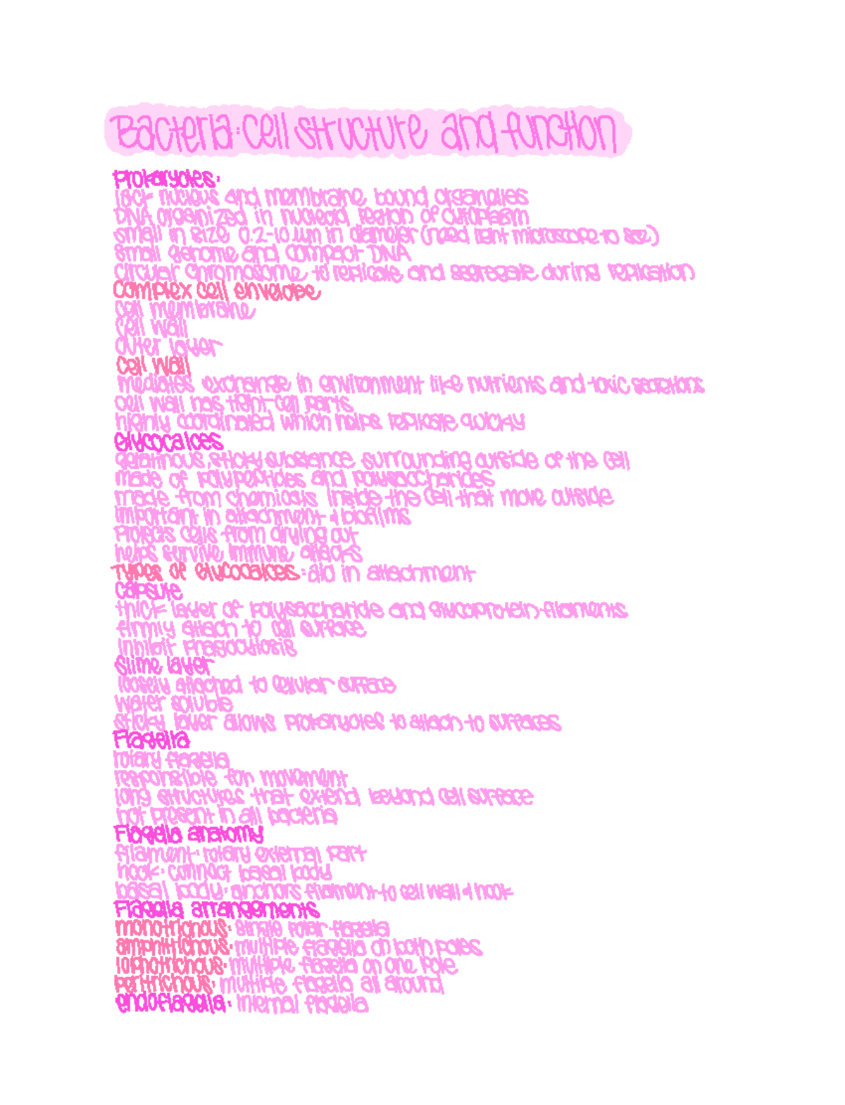 Bacterial Cell Structure And Function Bacteriacellstructure