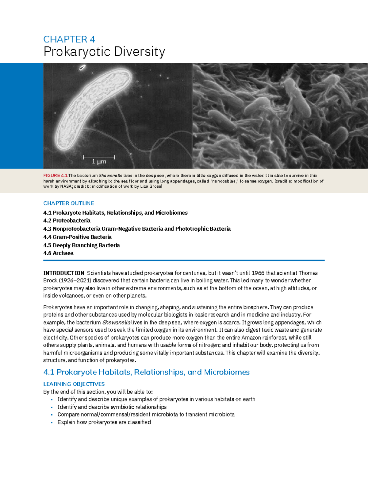 Microbiology - lecture notes given from ms gibbly - INTRODUCTION ...