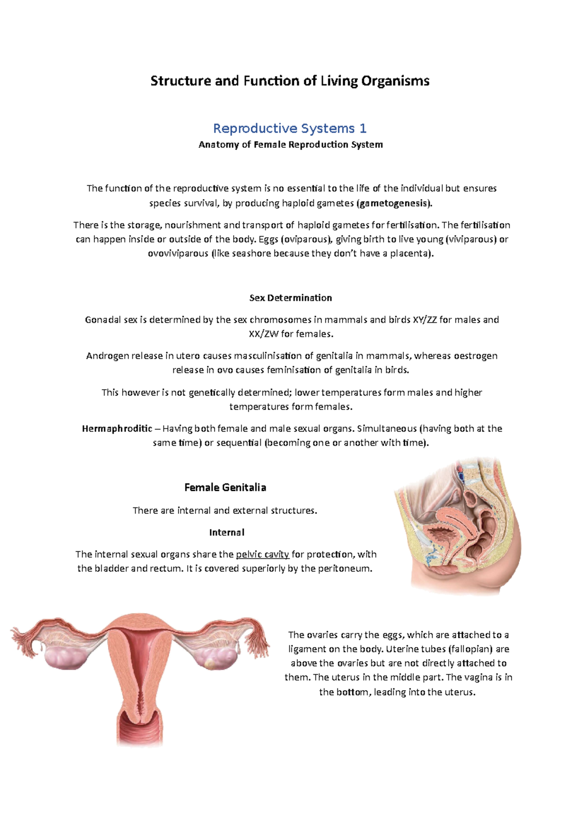 Reproductive Systems - Structure and Function of Living Organisms ...