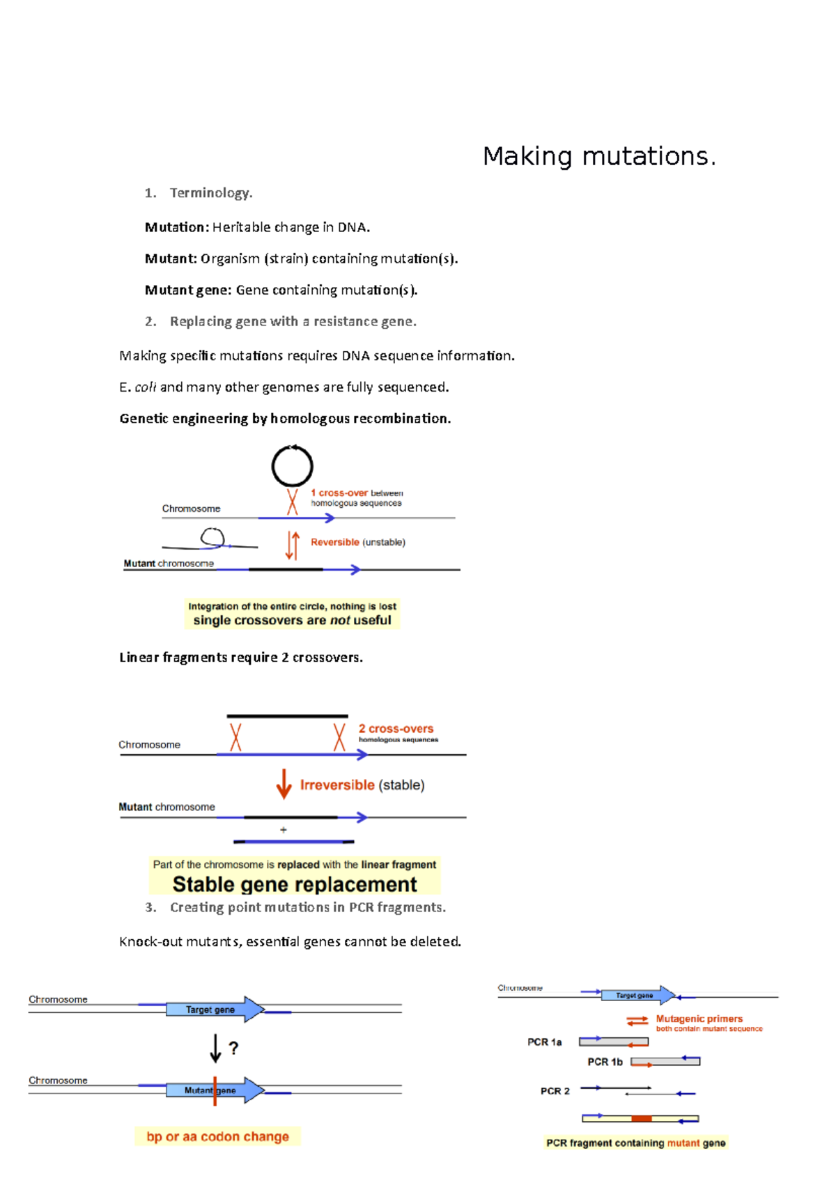 19. Making mutations. - Making mutations. 1. Terminology. Mutation ...