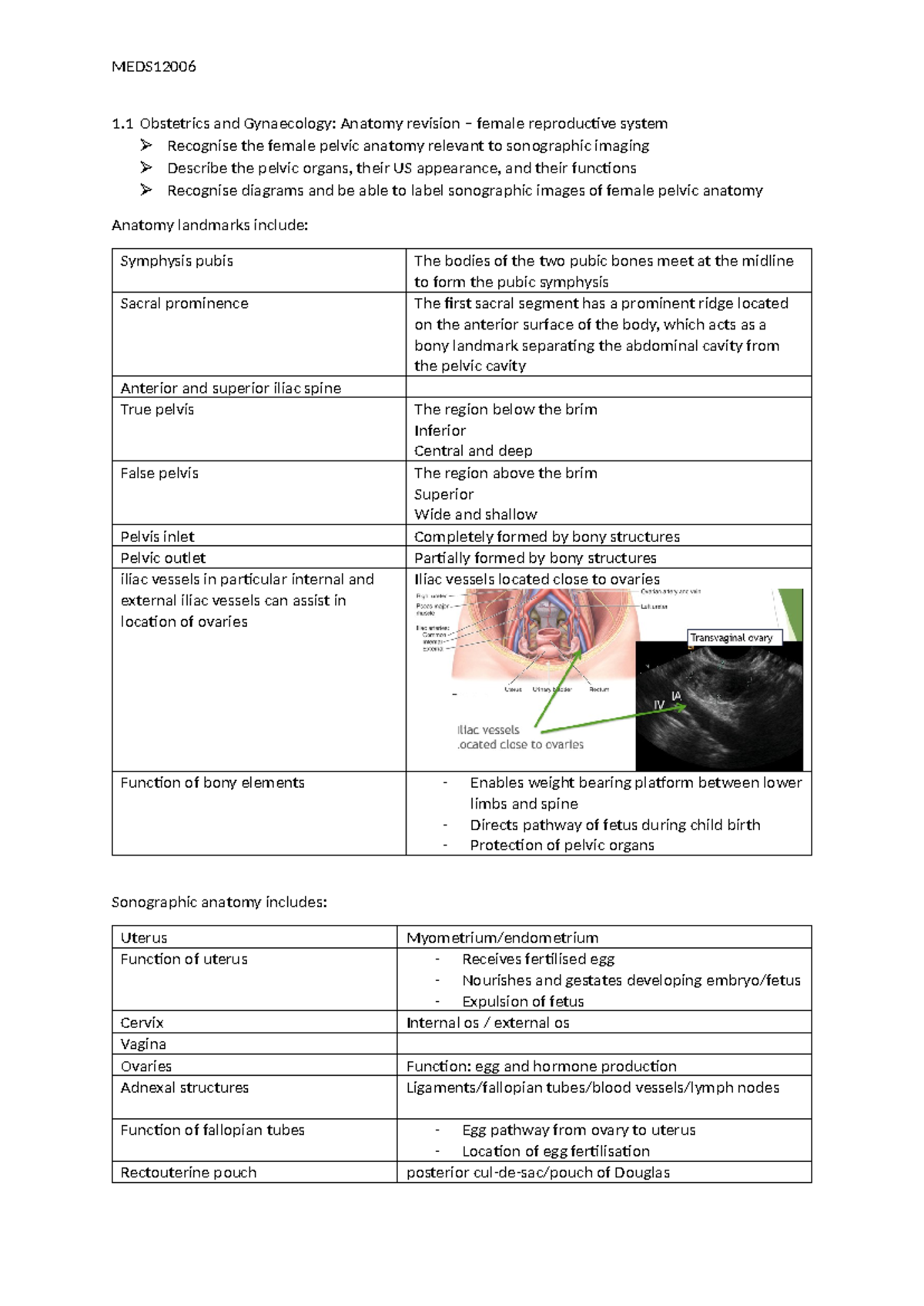 1.1, 1 - summaries - 1 Obstetrics and Gynaecology: Anatomy revision ...