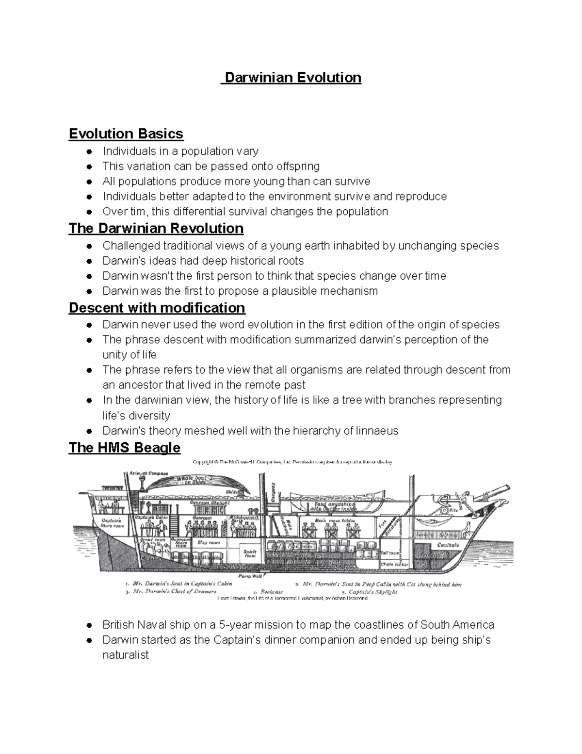 Darwinian Evolution - Darwinian Evolution Evolution Basics Individuals ...