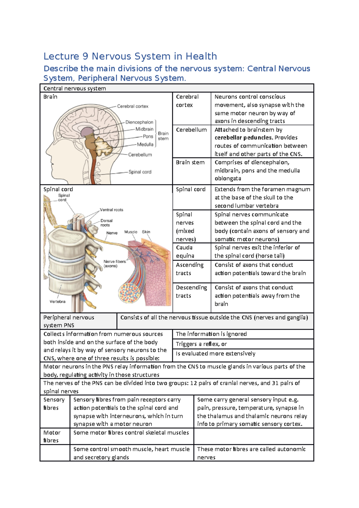 Lecture 9 Nervous System in Health - Lecture 9 Nervous System in Health ...