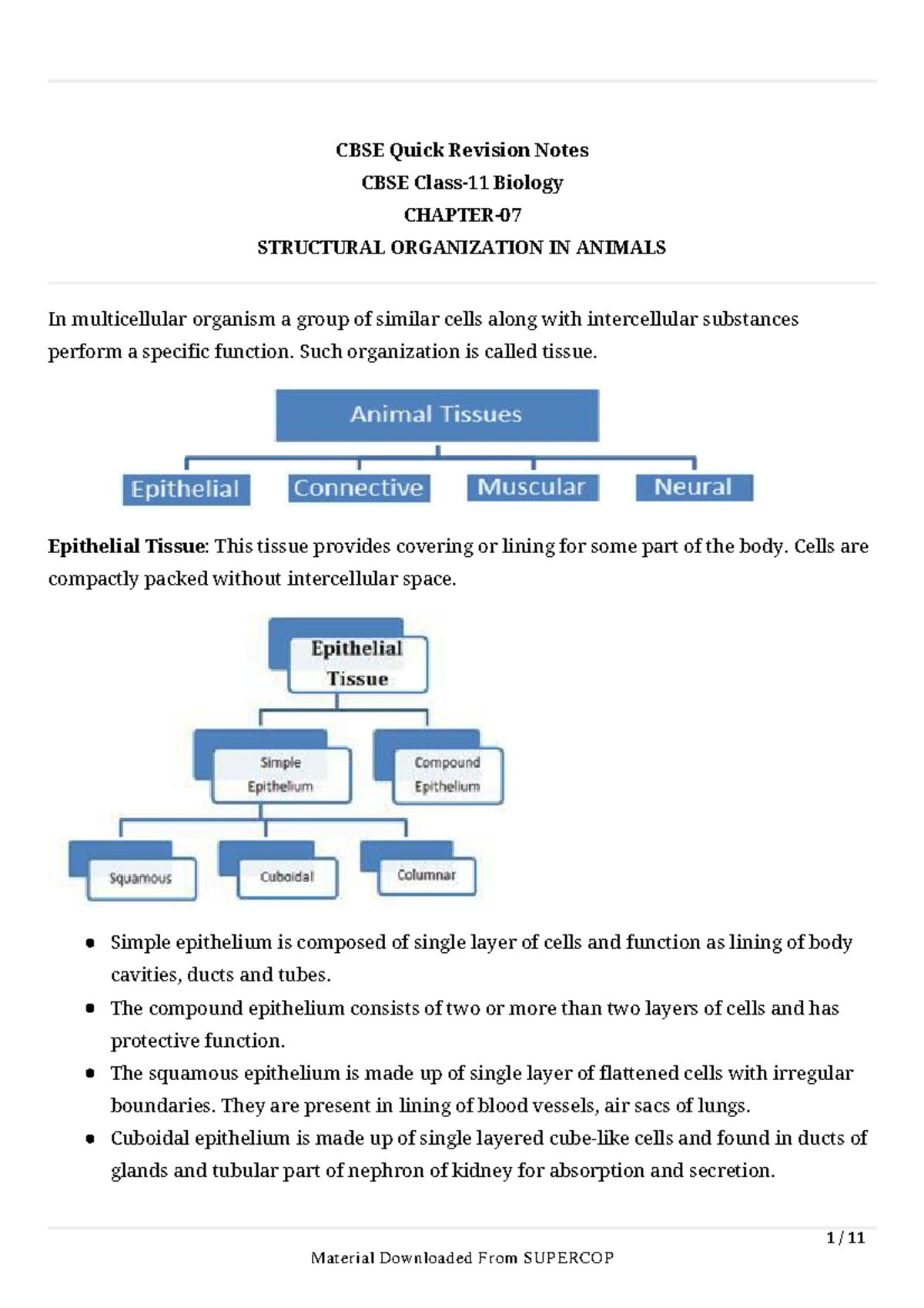 STRUCTURAL ORGANIZATION IN ANIMALS - 1 / 11 CBSE Quick Revision Notes ...