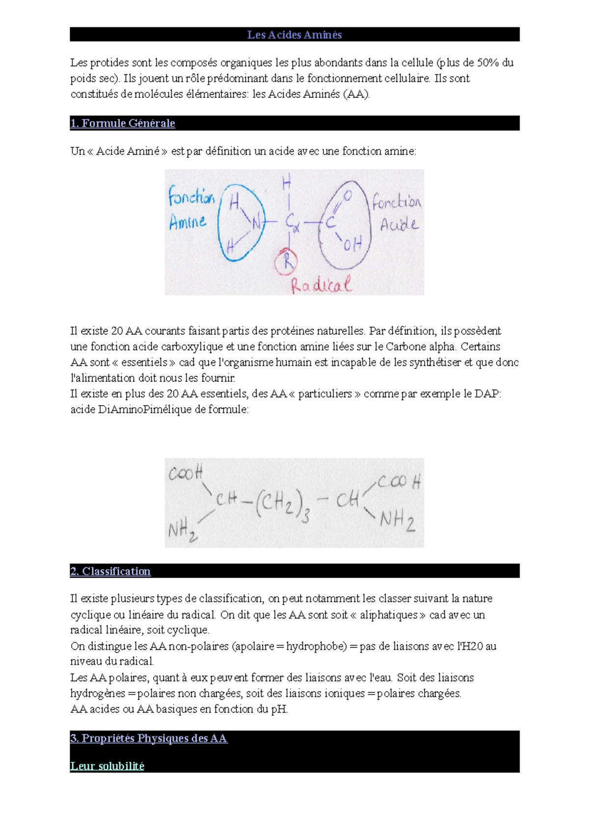 Biochimie-acides amines - Les Acides Aminés Les protides sont les ...