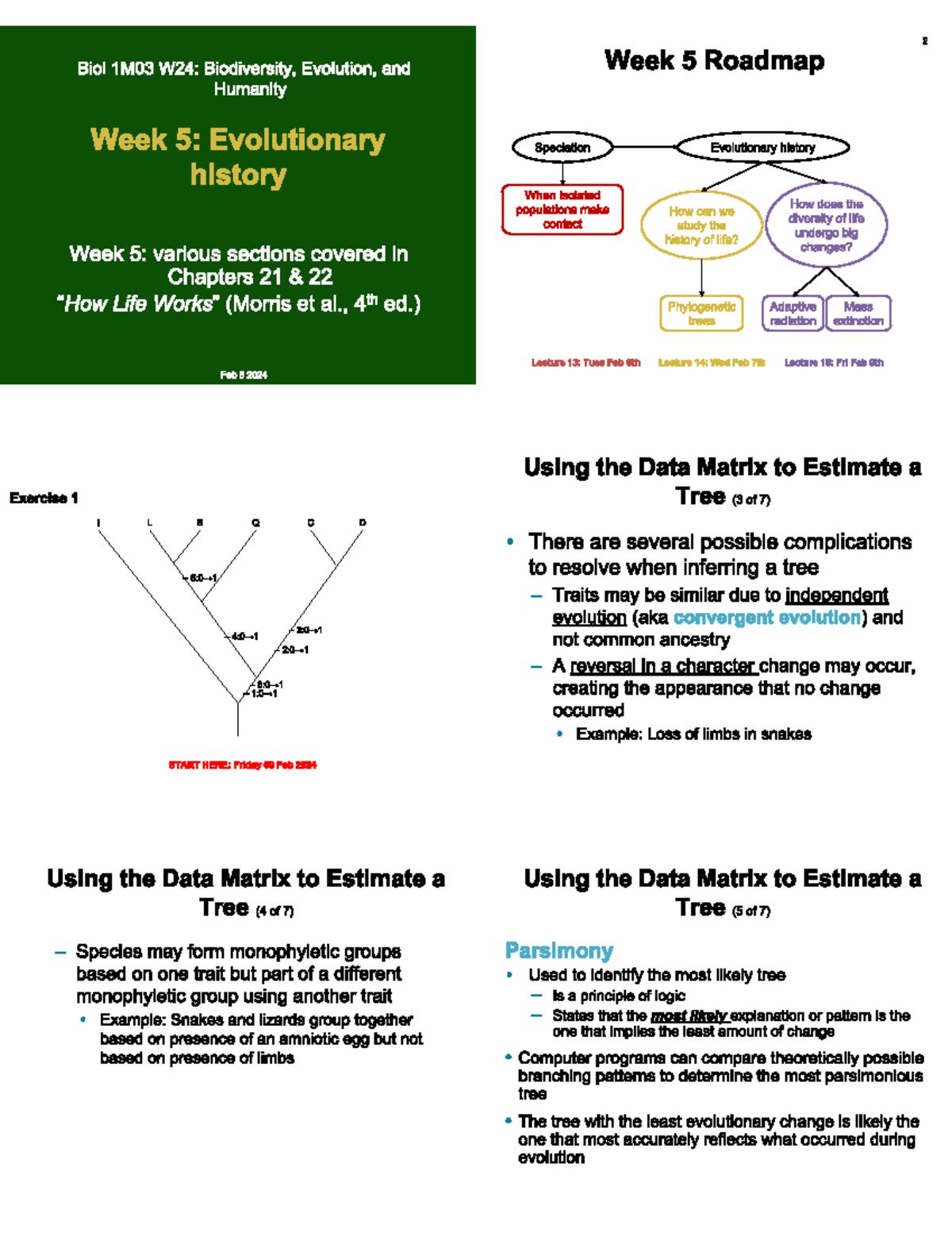 Lec 15 - help with material - bio 1m03 - Studocu
