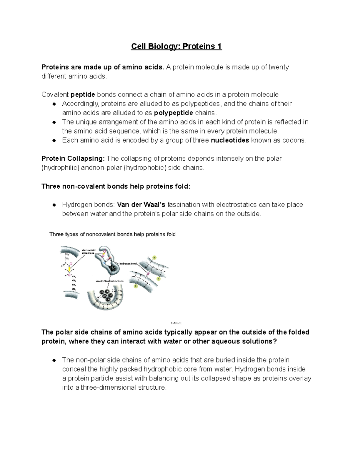 Cell Biology Proteins 1 - A protein molecule is made up of twenty ...