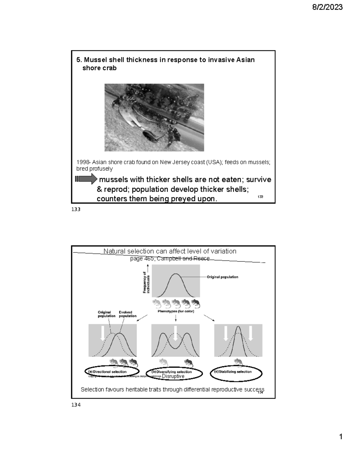 Slides 133-162 - Evolution - 5. Mussel shell thickness in response to ...