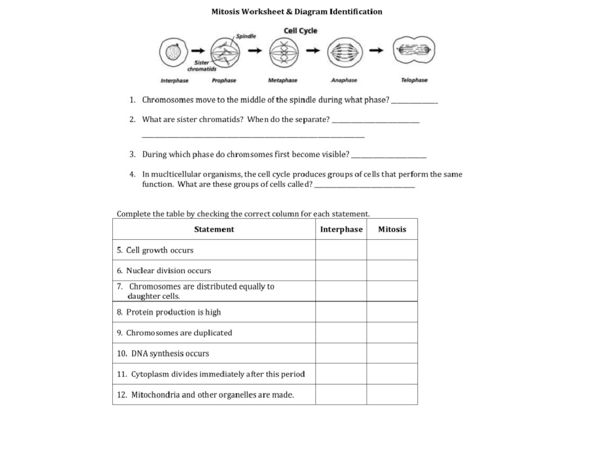 H2 - Self-Used Practice - BIOA01H3 - Studocu