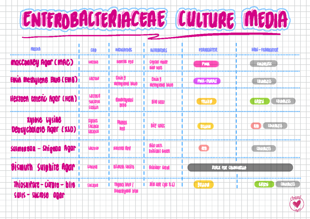 Culture Media Enterobac - NLERIOBATA EA KITUTTRE I ####### MEDIA CHO ...