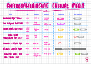Immuno SERO 2 - IMMUNOLOGY & SEROLOGY LECTURE: INTRODUCTION TO ...