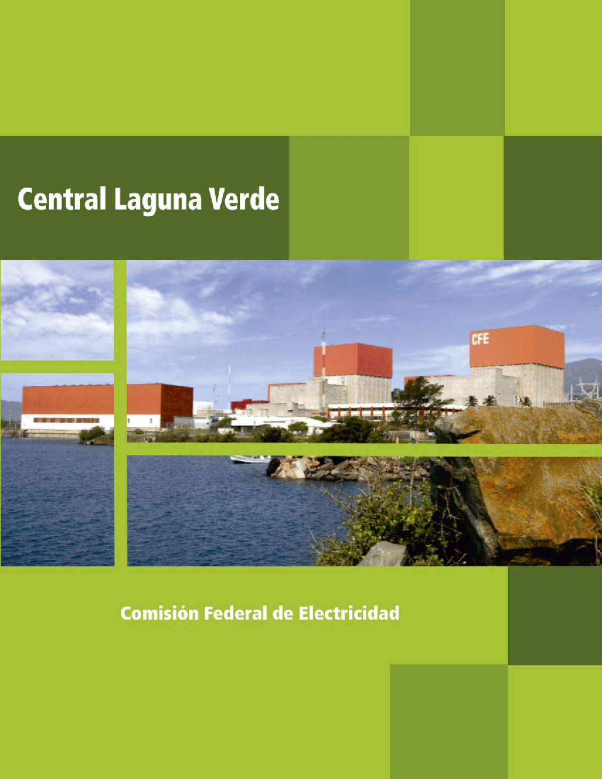 Libro Inglés Español Lite - Central Laguna Verde CFE Comisión Federal ...