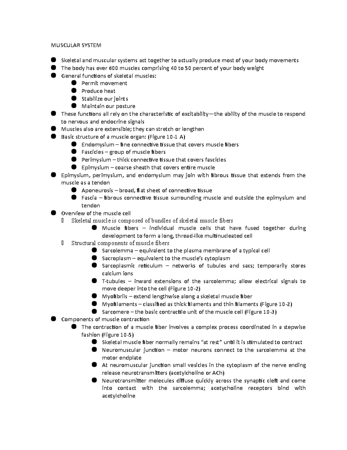 Muscular System - notes - MUSCULAR SYSTEM Skeletal and muscular systems ...