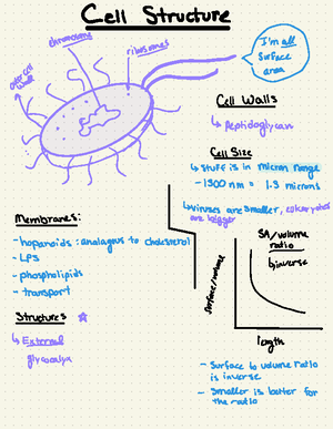 Pathogens - Symbiosis Outline / Summary mutualism ex, lichen ...