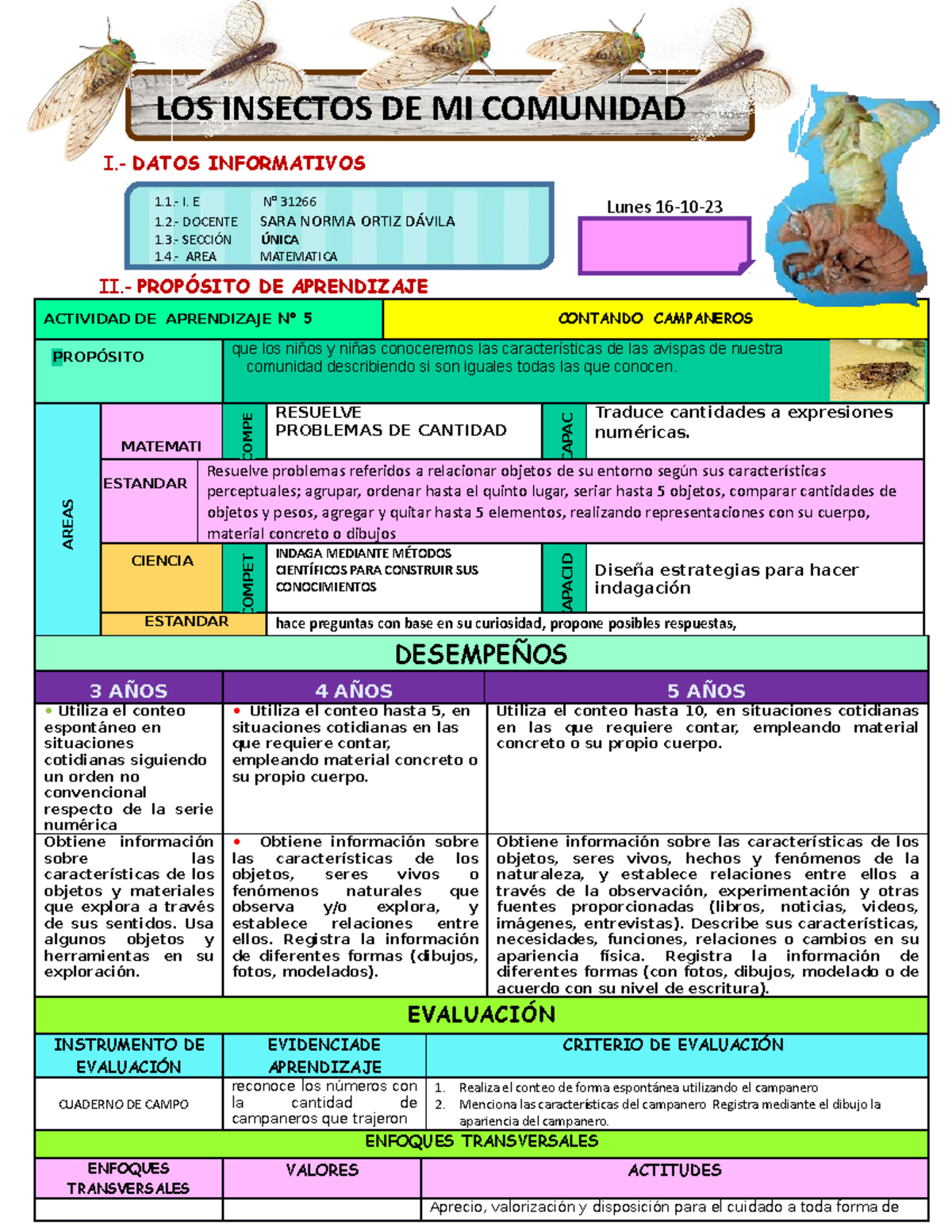 campaneros INSECTO - I.- DATOS INFORMATIVOS 1.- I. E N° 31266 1.- DOCENTE SARA NORMA ORTIZ ...