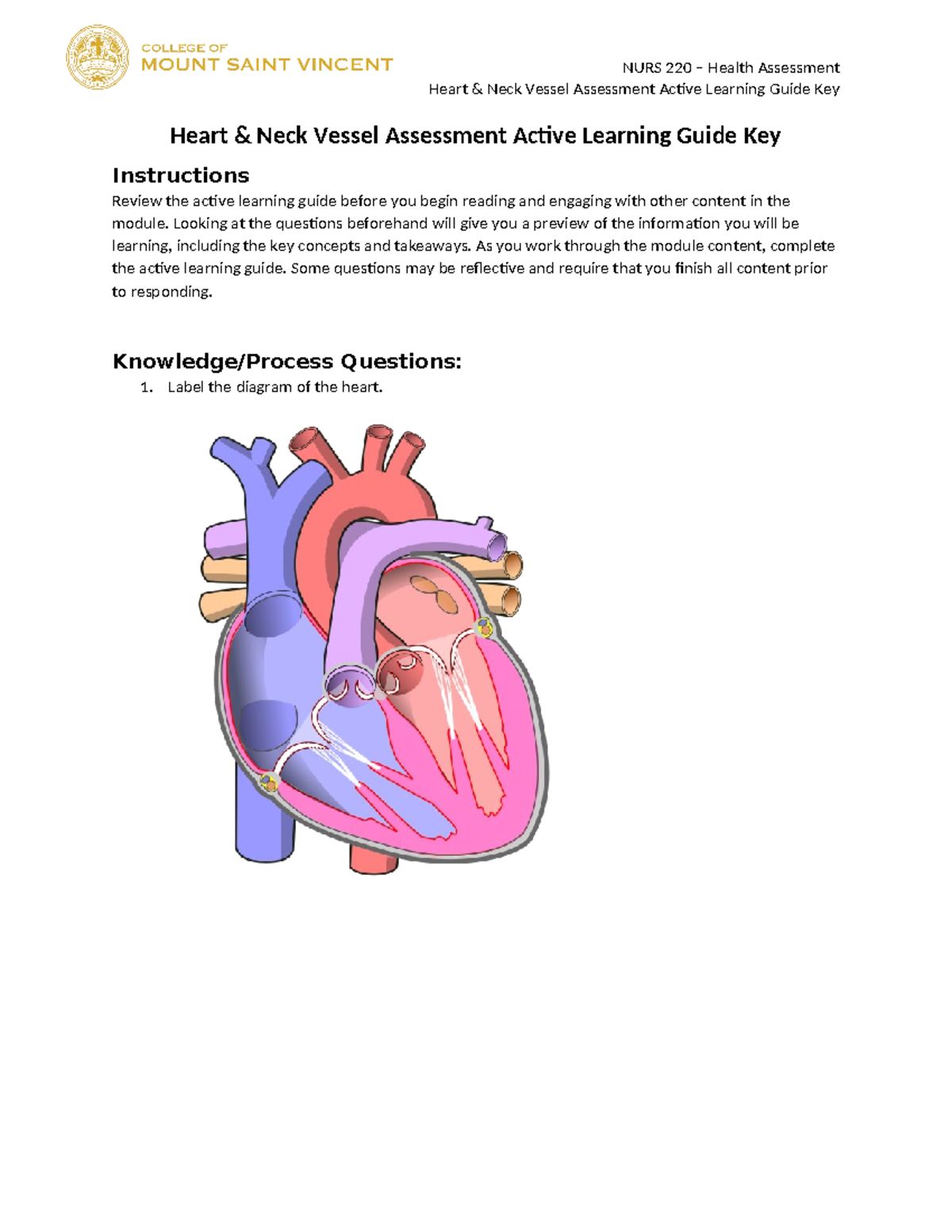 Heart and Neck Vessel Assessment Active Learning Guide - Key - Heart ...