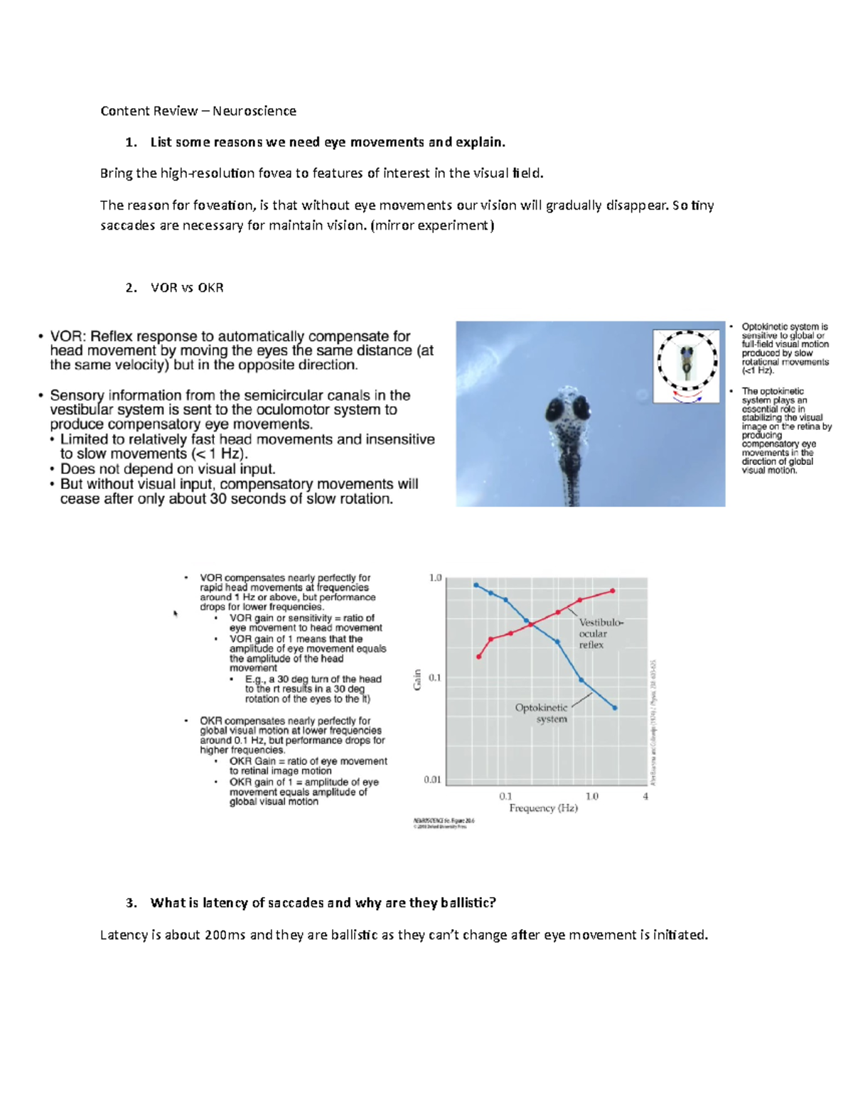 Revision Notes - Neuroscience - Content Review – Neuroscience 1. List ...