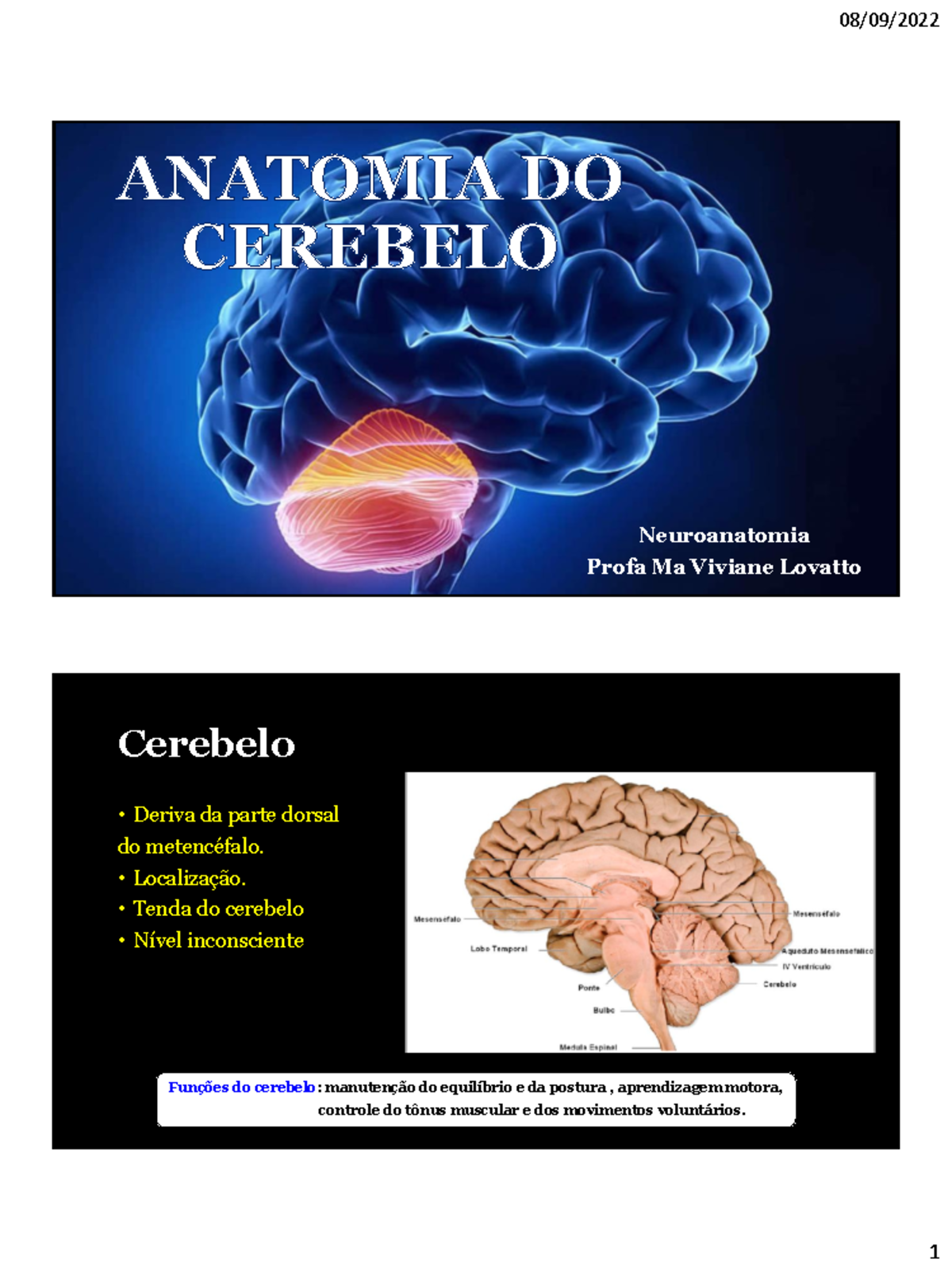 Slide 1 Anatomia Do Cerebelo Neuroanatomia Profa Ma Viviane Lovatto