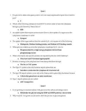 Enzyme Kinetics lab report 2 - Enzyme Kinetics Martee Larson , Lauren ...